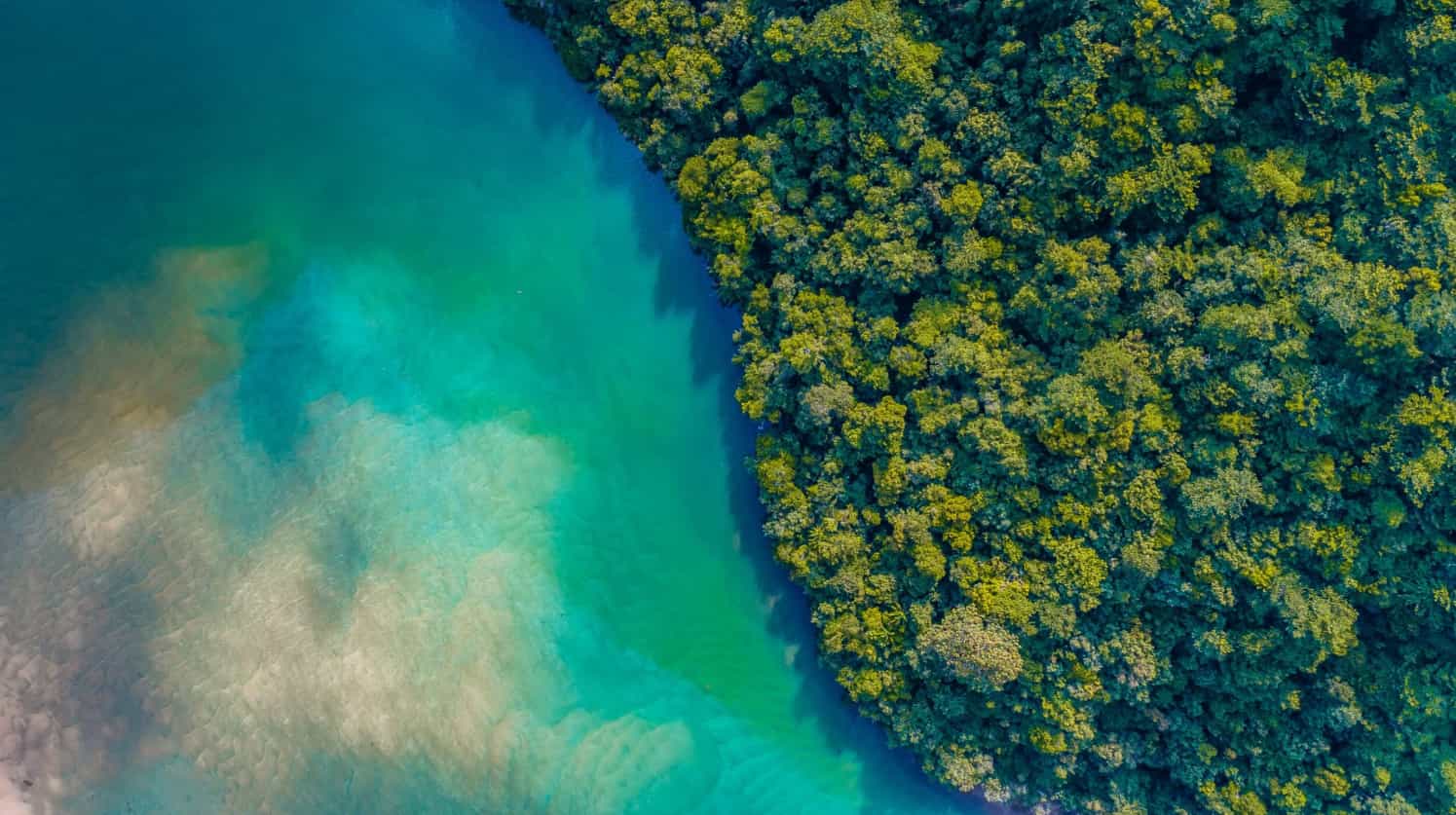 Tuanku Sirajuddin Travelling Fellowship (Malaysia to UK) | Royal ...